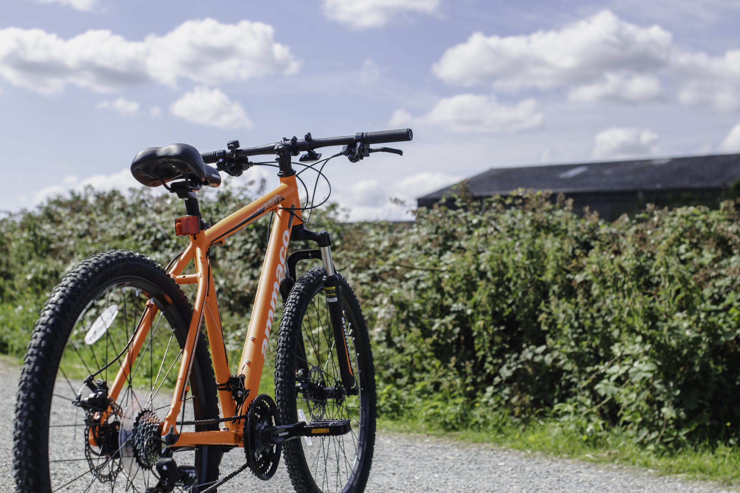 National Bike Week 2024: Discover the benefits of cycling - Cycle King Blog